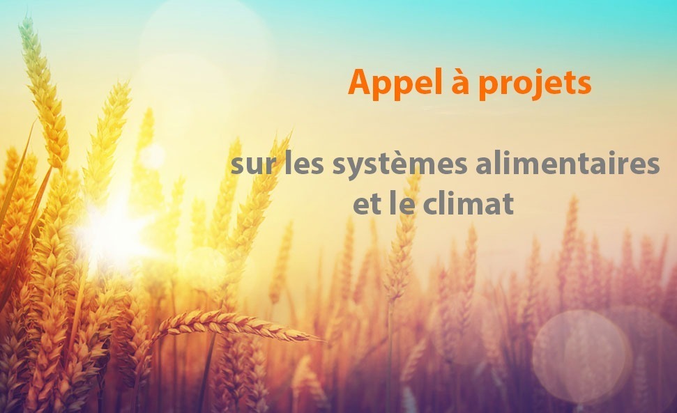 Accréditation des filières du cycle Master selon les nouvelles normes du CNPN, session 2024 ...